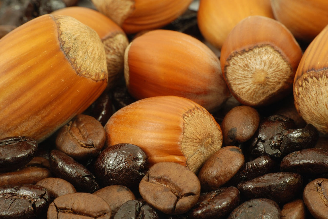 Hazelnut Flavored Coffee | Volcanica Coffee