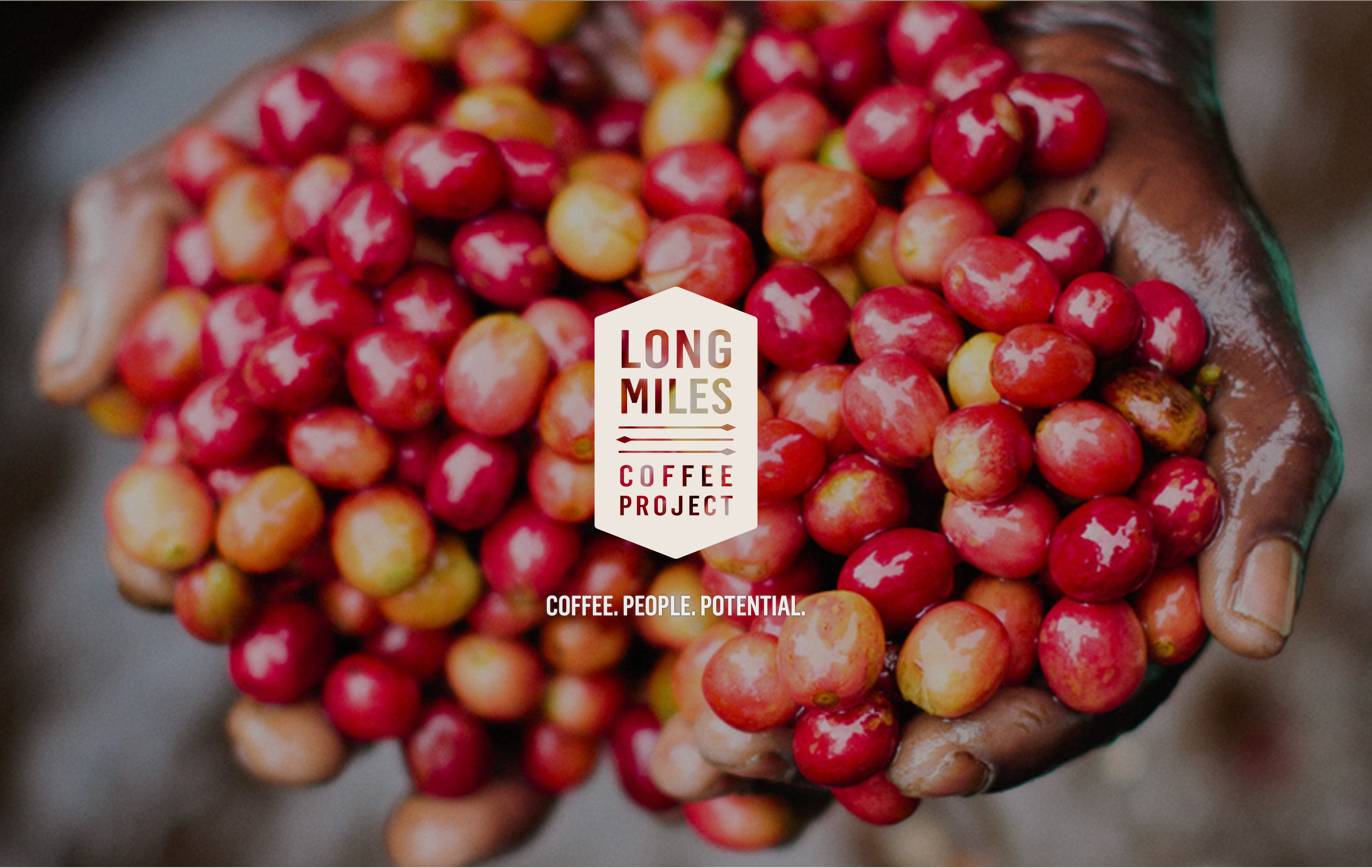 Long Miles Coffee: Empowering Burundian Coffee Farmers, One Micro-Lot ...