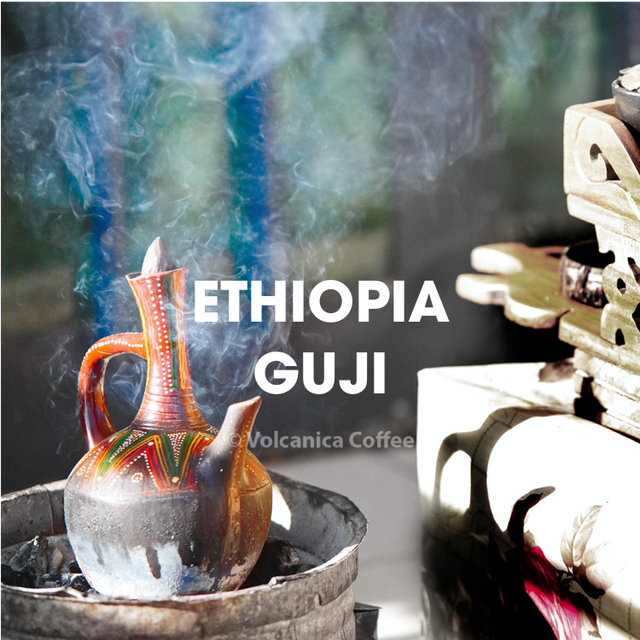 Ethiopian Coffee | Volcanica Coffee